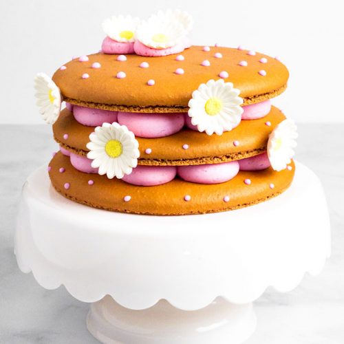 Macaron Cake - The Tipsy Macaron