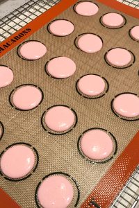 Macaron Tips - The Tipsy Macaron